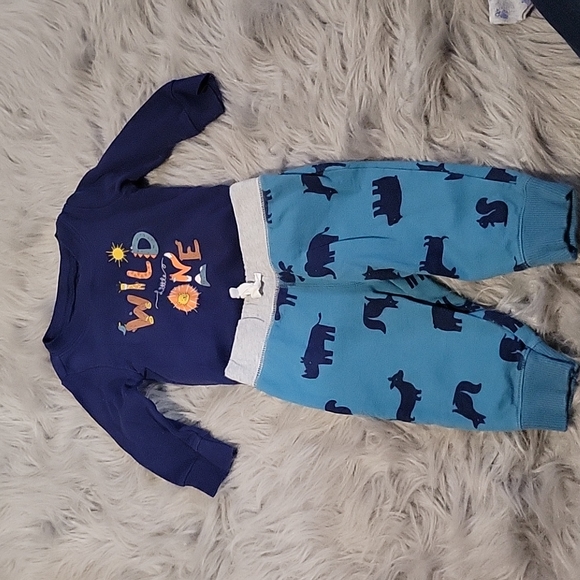 Carter's | Matching Sets | Carters Wild Little One Outfit | Poshmark